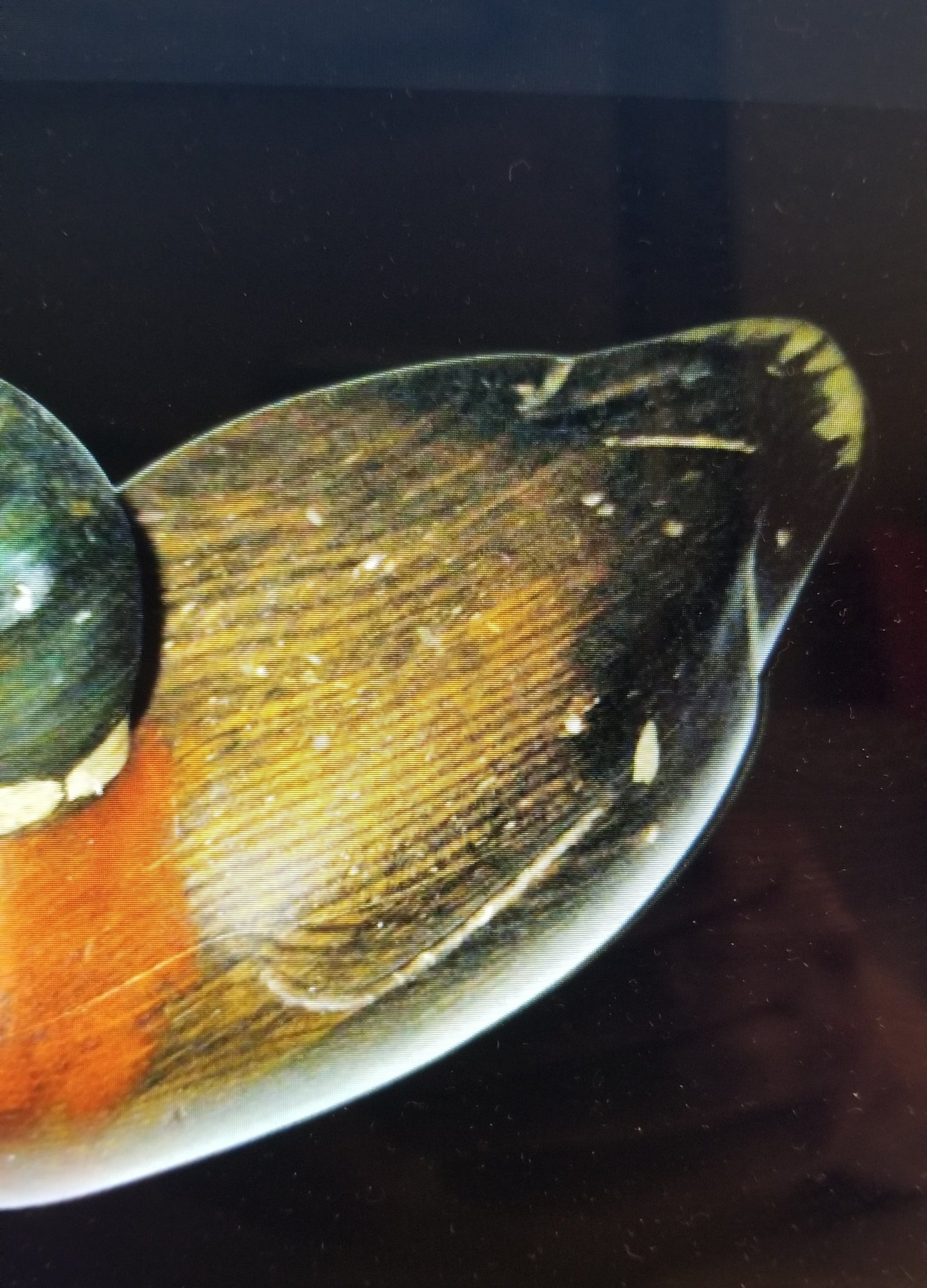 Tom Taber Duck Decoy Hand Decorated Colored Signed Sculpture – Designer ...