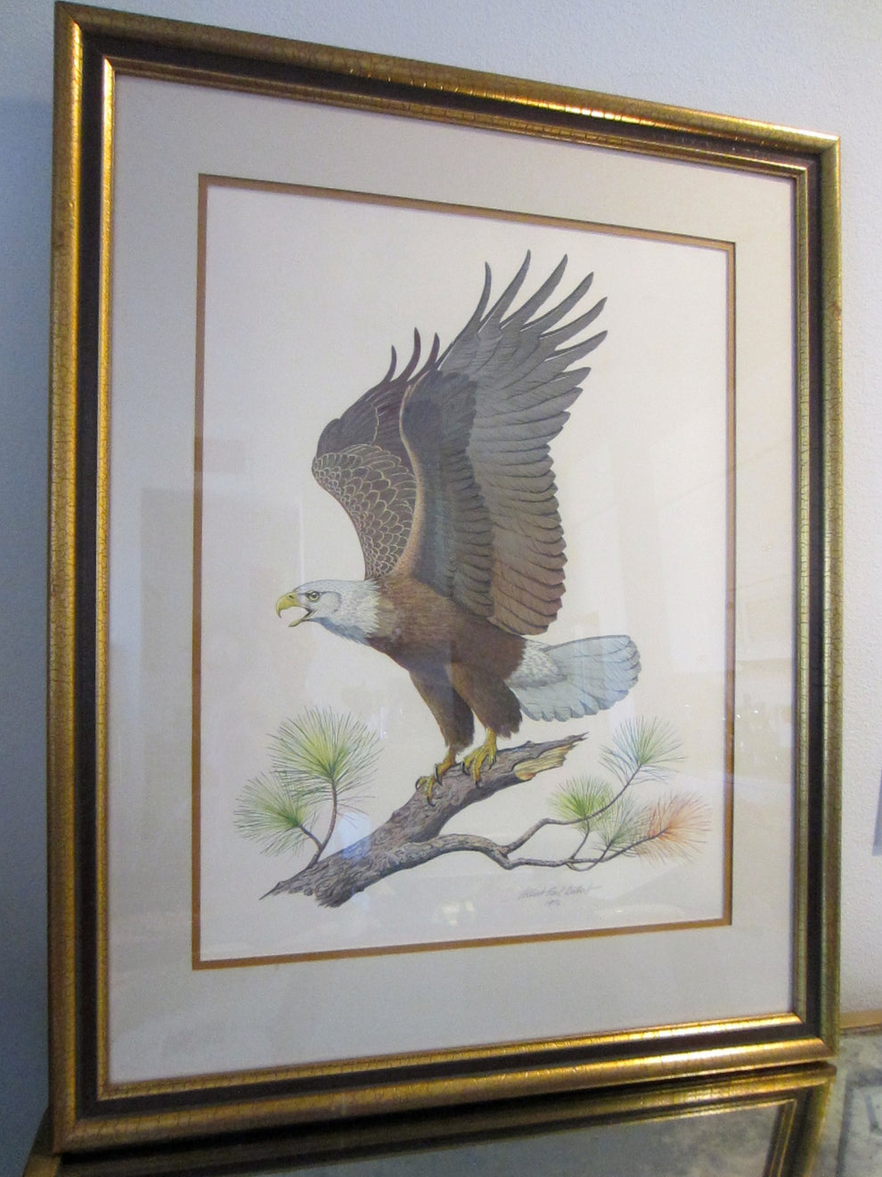Albert Earl Gilbert The American Bald Eagle Mid Century Illustration ...