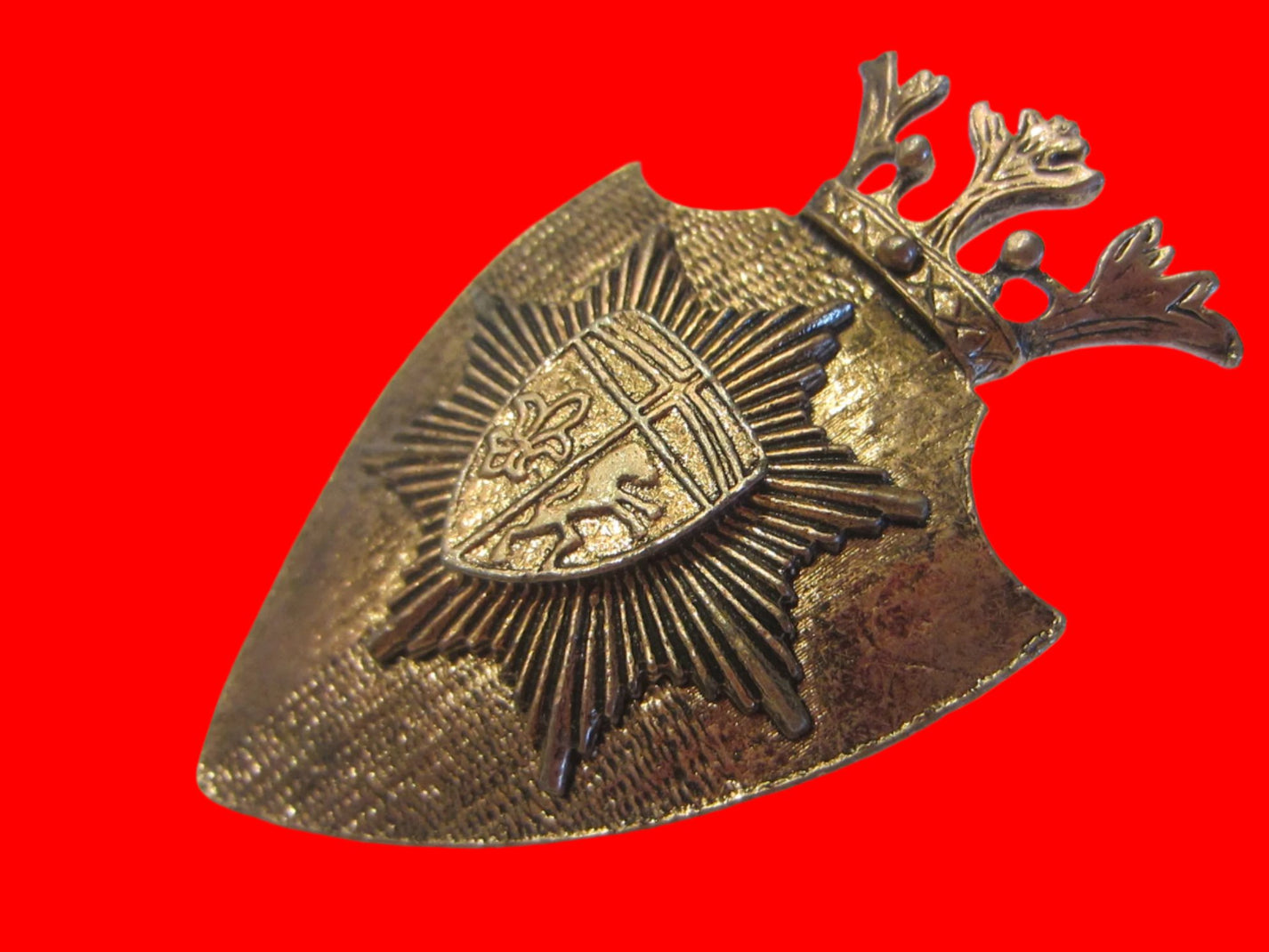 English Style Lion Crest Brooch – Designer Unique Finds
