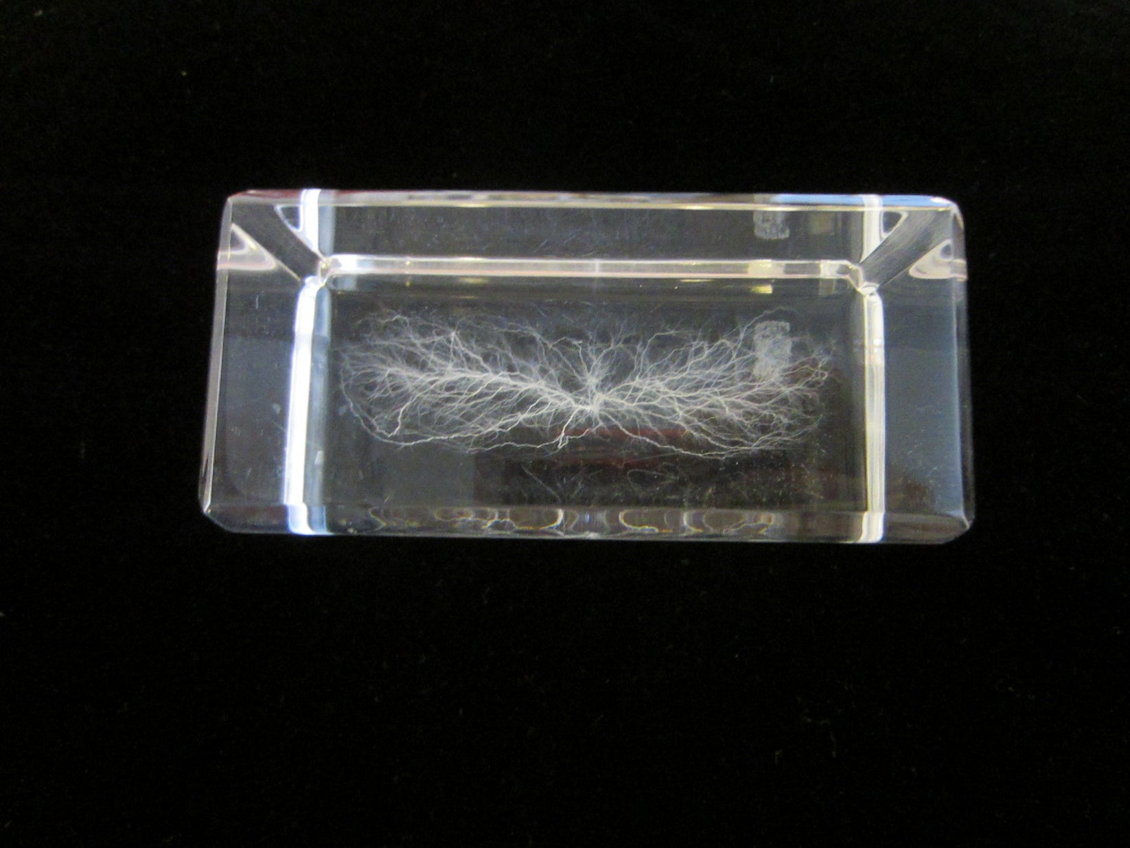 White Tree Encased Art Deco Acrylic Lucite Plaque – Designer Unique Finds