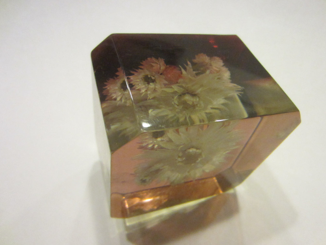 Republic South Africa Lucite Paperweight Dried Flower Encased Label Ma ...