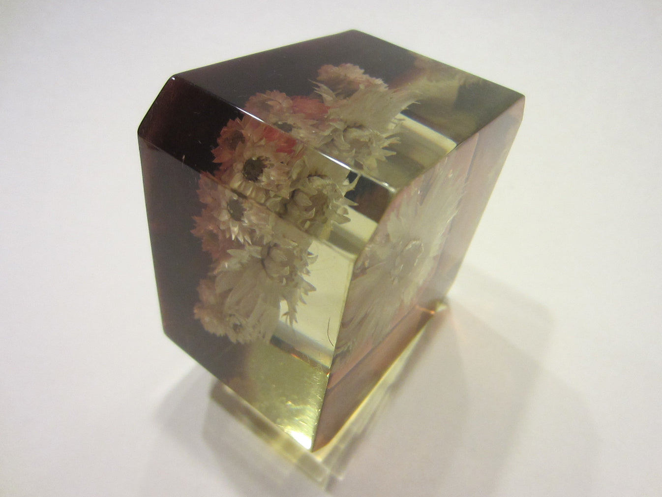Republic South Africa Lucite Paperweight Dried Flower Encased Label Ma ...