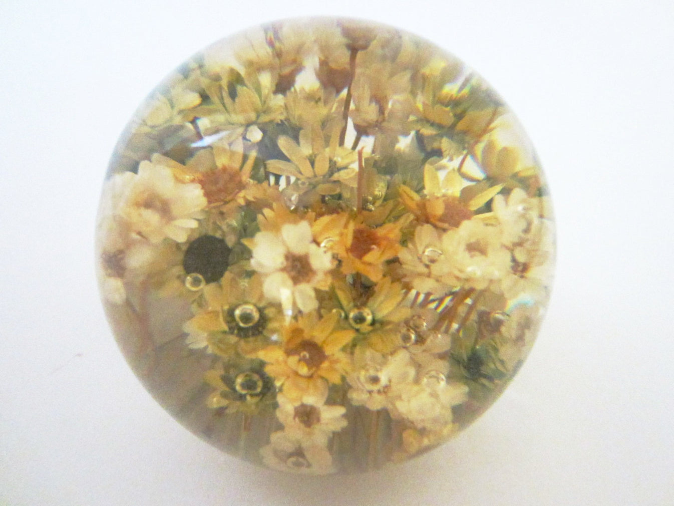 Post Modern Lucite Paperweight Wild Flowers Encased – Designer Unique Finds