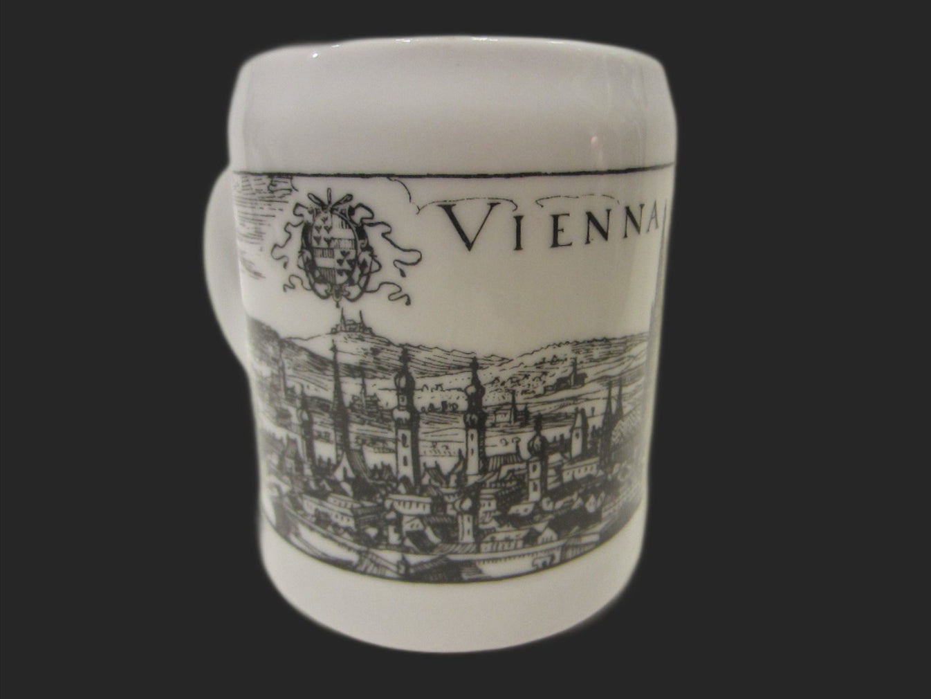 Vienna Austria Muller Co Linz Coffee Mug Black on White Panoramic City ...