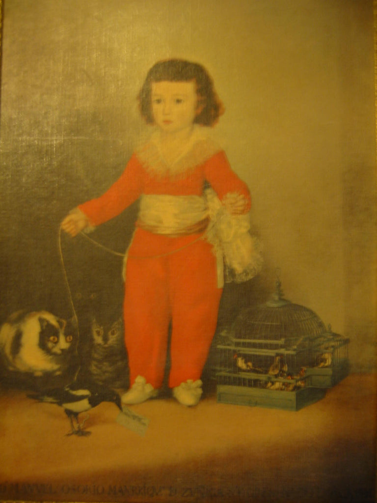 Francisco Jose De Goya Red Boy Portrait Don Manuel Osorio De Zuniga Pr ...