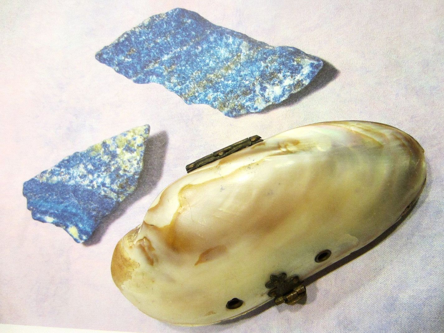 Sea Shell Abalone Rosary Clutch Medallion Clasp Hinged Clutch ...