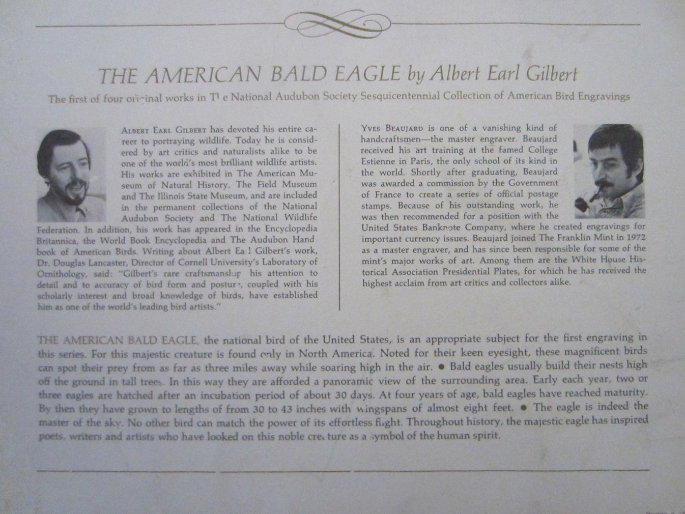 Albert Earl Gilbert The American Bald Eagle Mid Century Illustration ...