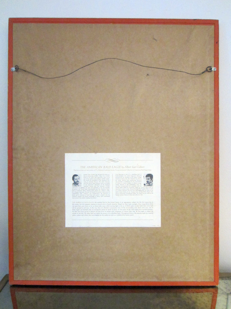 Albert Earl Gilbert The American Bald Eagle Mid Century Signed Illustr ...