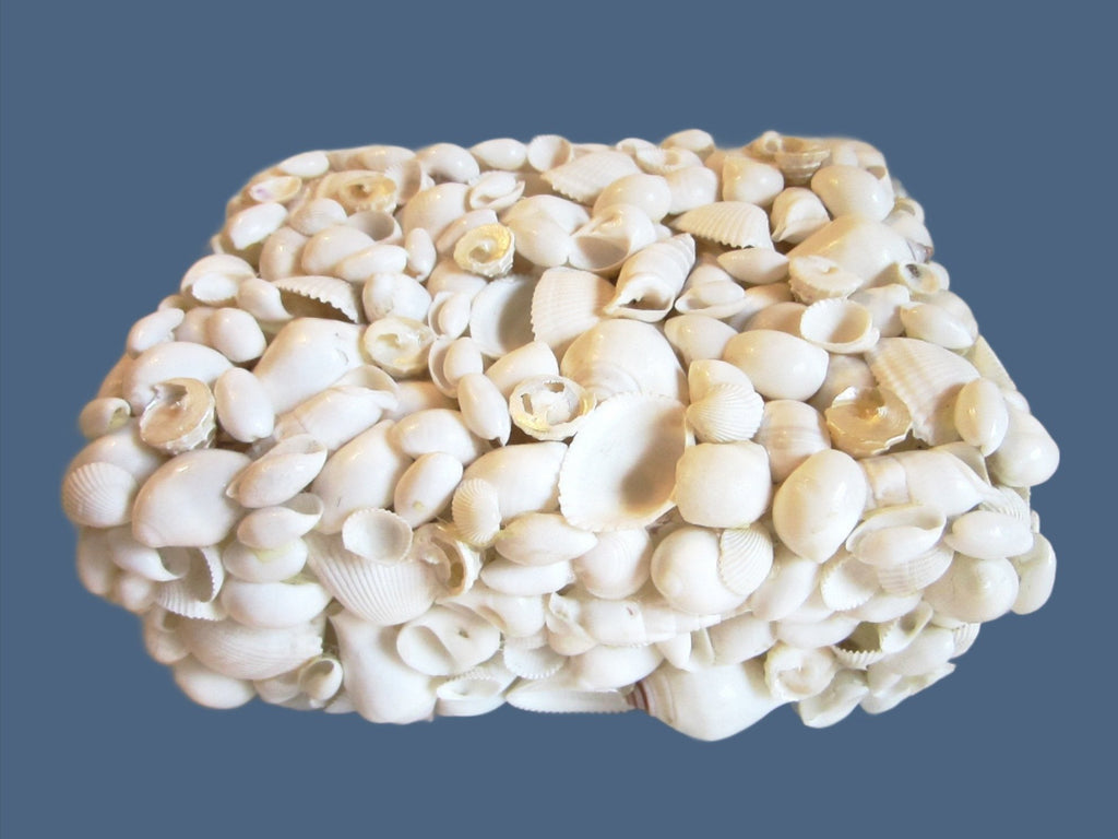 White Rectangle Seashells Box Made in Philippines – Designer Unique Finds