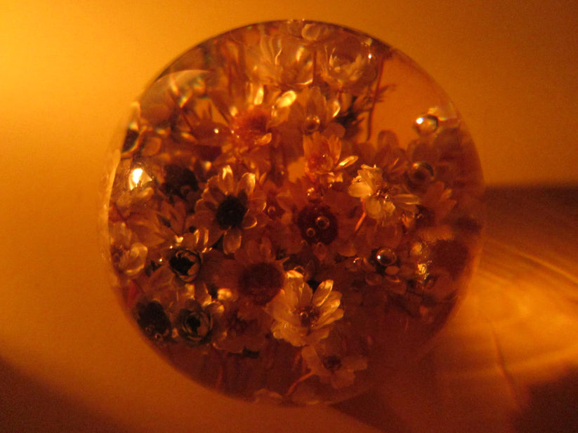 Post Modern Lucite Paperweight Wild Flowers Encased – Designer Unique Finds